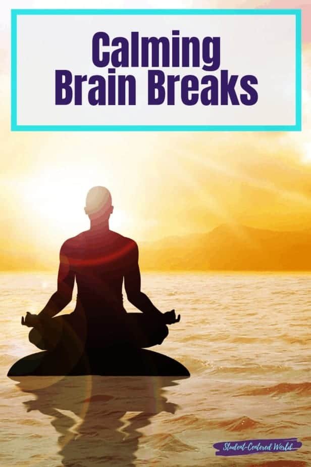 Ultimate Guide to Brain Breaks in the K-12 Classroom