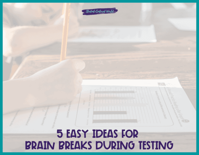 Brain Breaks During Testing: Keeping Sanity | Student-Centered World