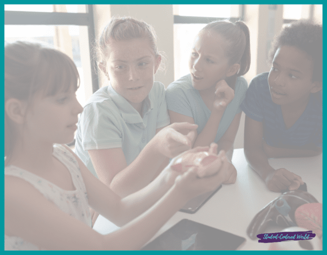Common Classroom Challenges in the Traditional Classroom